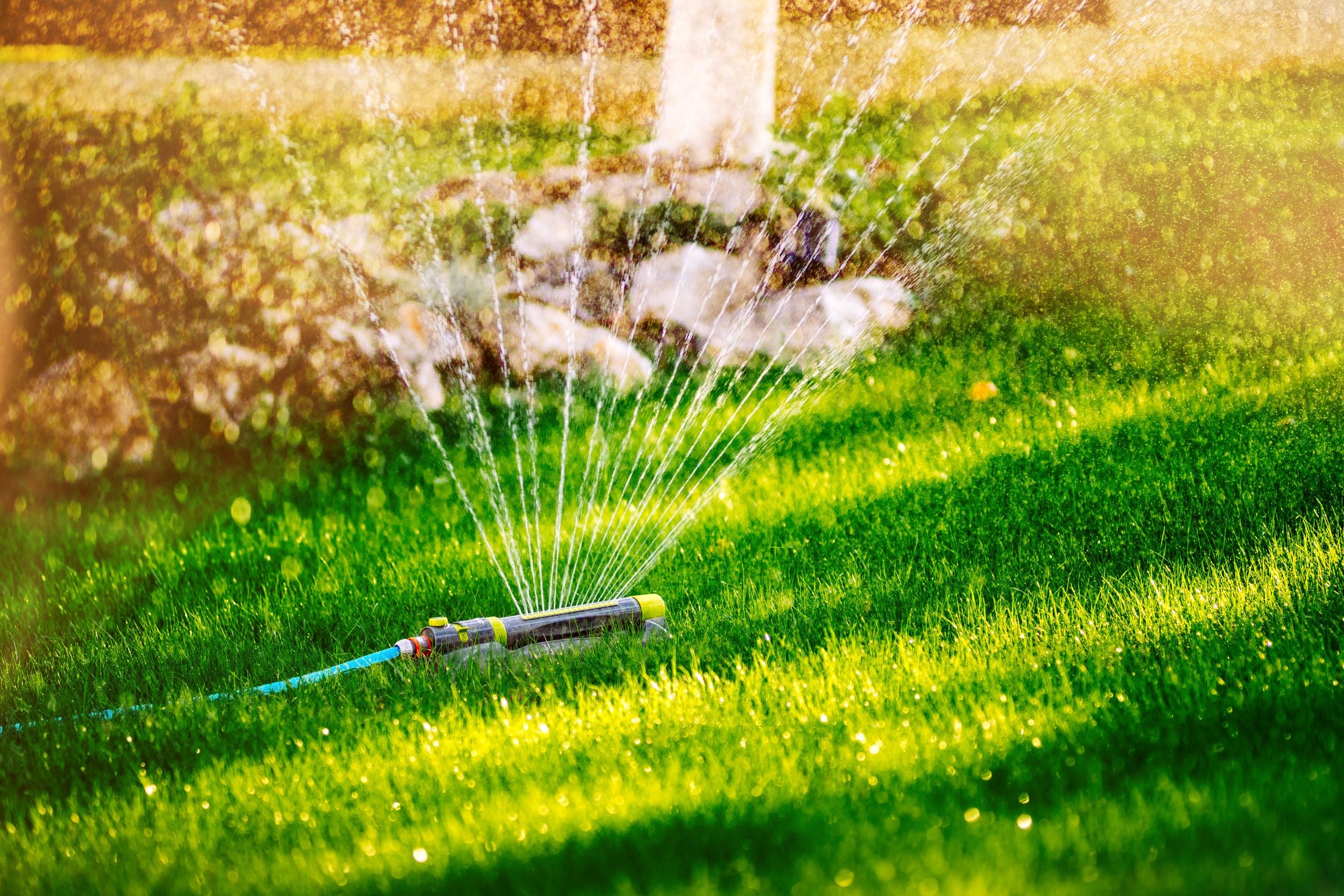 Waiting the lawn properly – Rasenspecht